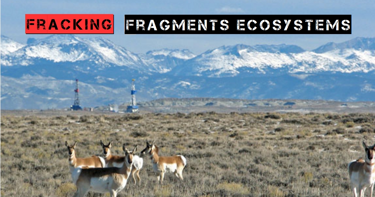 Fracking threatens our remaining wild spaces. | Frack Off